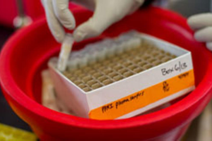 PPMI Dispatch: Capturing the Parkinson's Experience Day to Day and Over ...