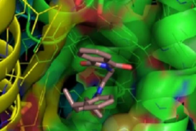 15 Projects Studying the GBA Gene Receive Nearly $3 Million in Total ...