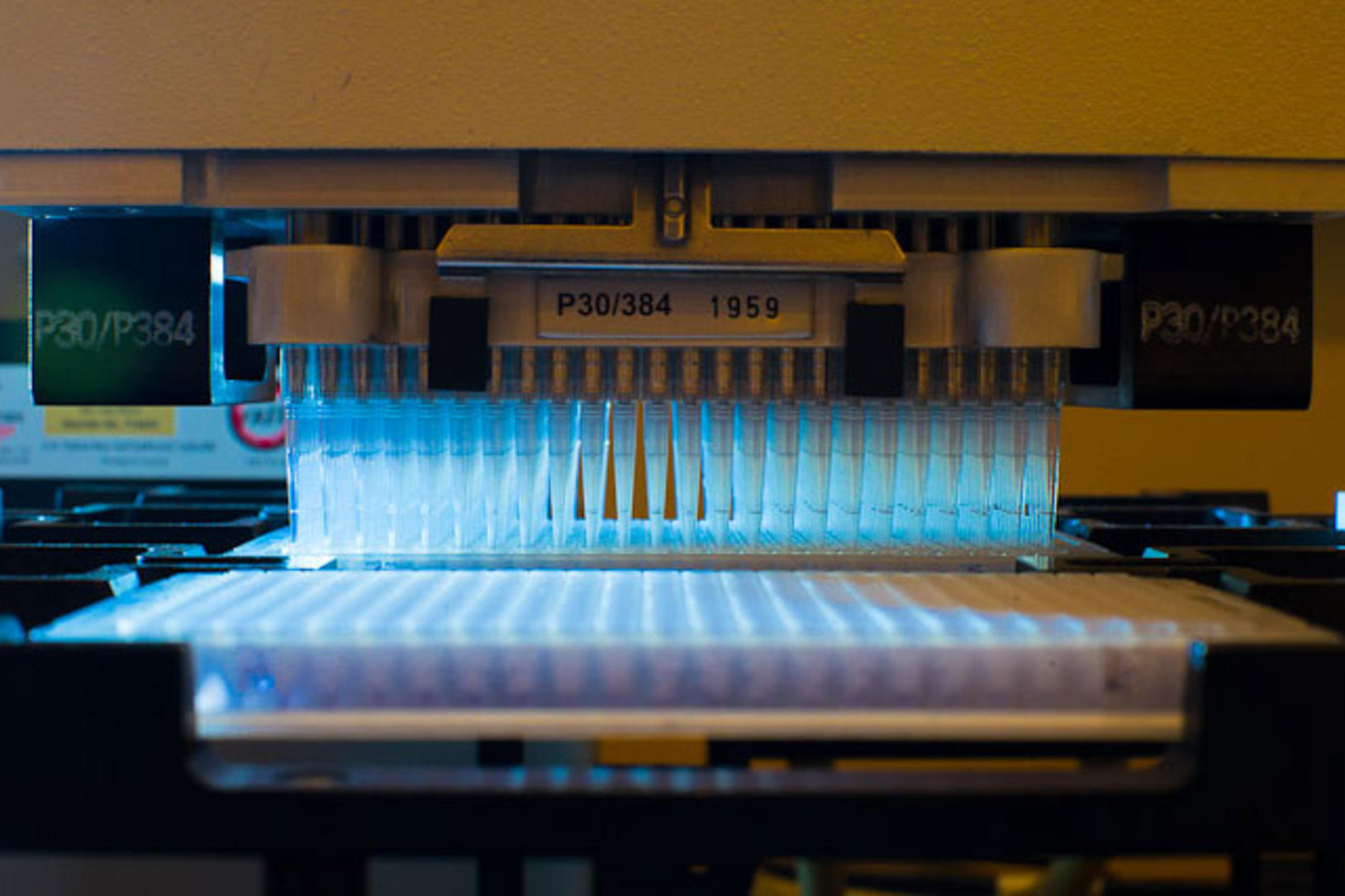 Promising Progress: Inhaled Formulation of Levodopa Enters Phase Two of ...