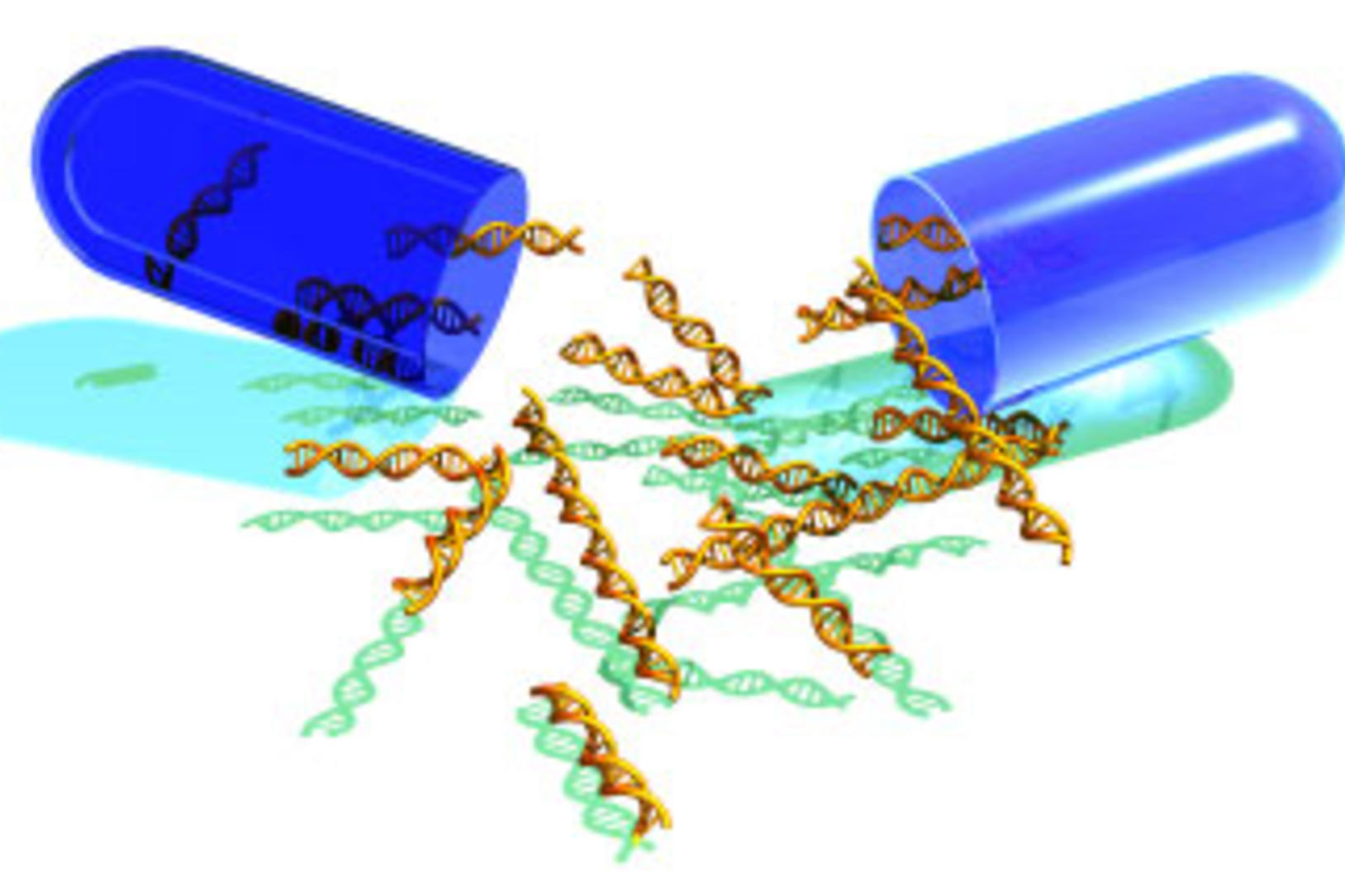 Ceregene: Early Indications that Trophic Factor Biochemically Active in ...