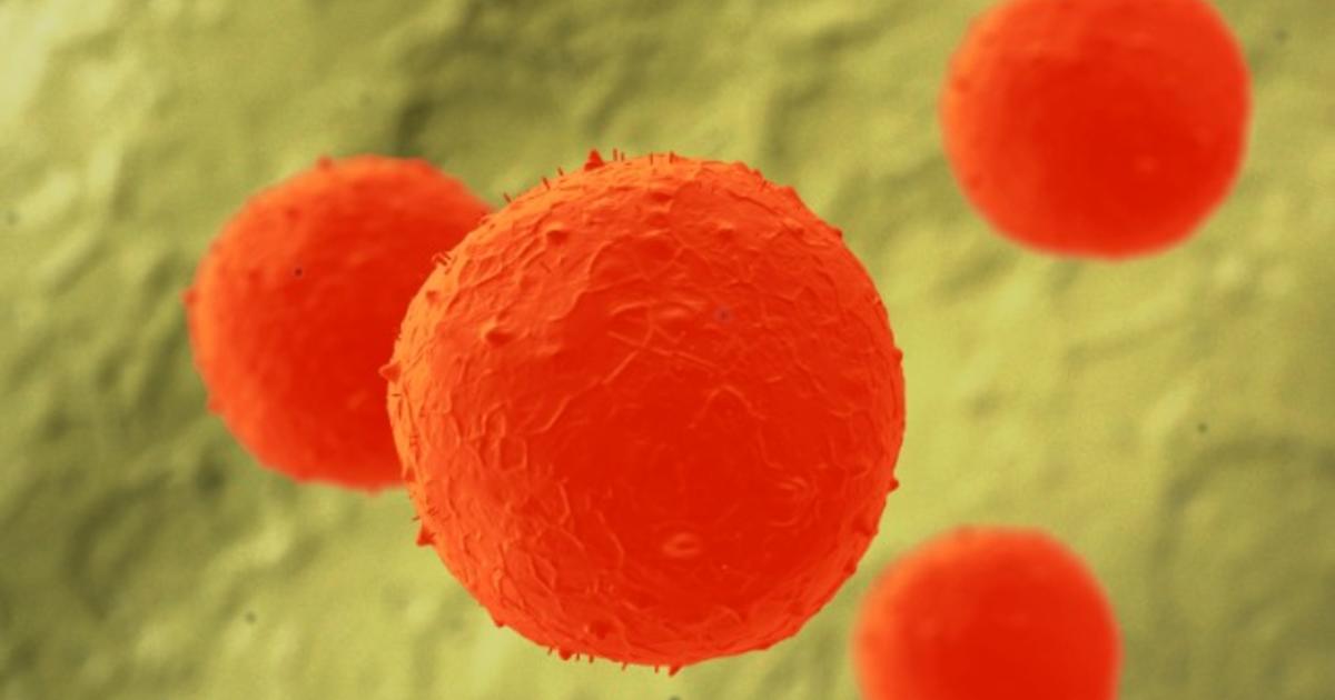 MJFF Supports Stem Cell Projects to Explore Therapies and Provide ...